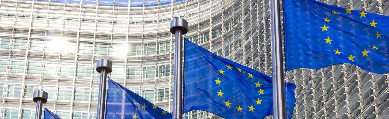 EU Entry/Exit System (EES): What UK Travellers Need to Know | Total ...